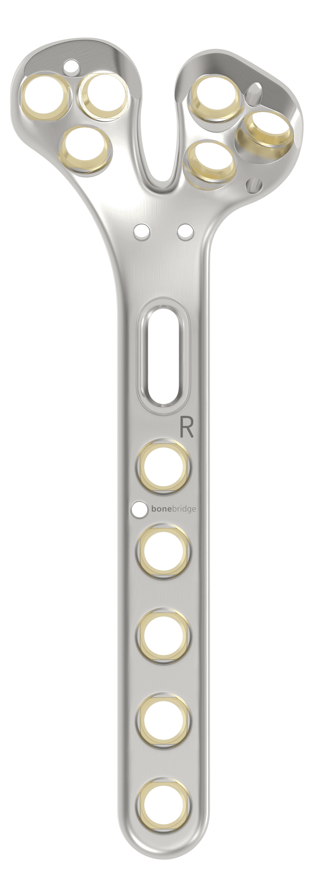 Bonebridge - SALGINA